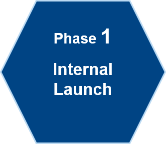 Phase 1: Internal Launch - Vital Wave