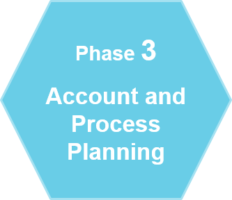 Phase 3: Account and Process Planning - Vital Wave